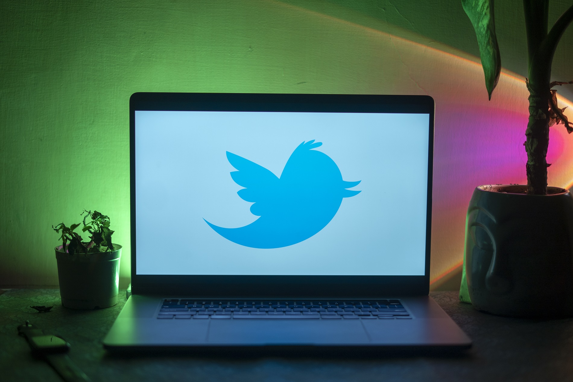 49 Most Popular Social Media Platforms to Use in 2025 - Viralyft