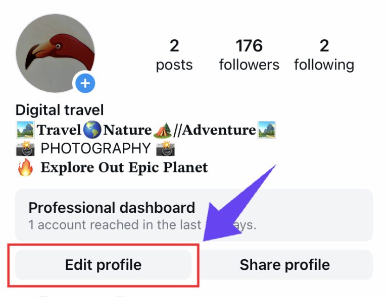 Instagram Handle: What It Is, How to Create, & Change - Viralyft