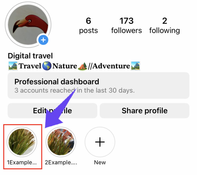 Instagram Highlights Guide: How to Create, Edit, & Tips - Viralyft