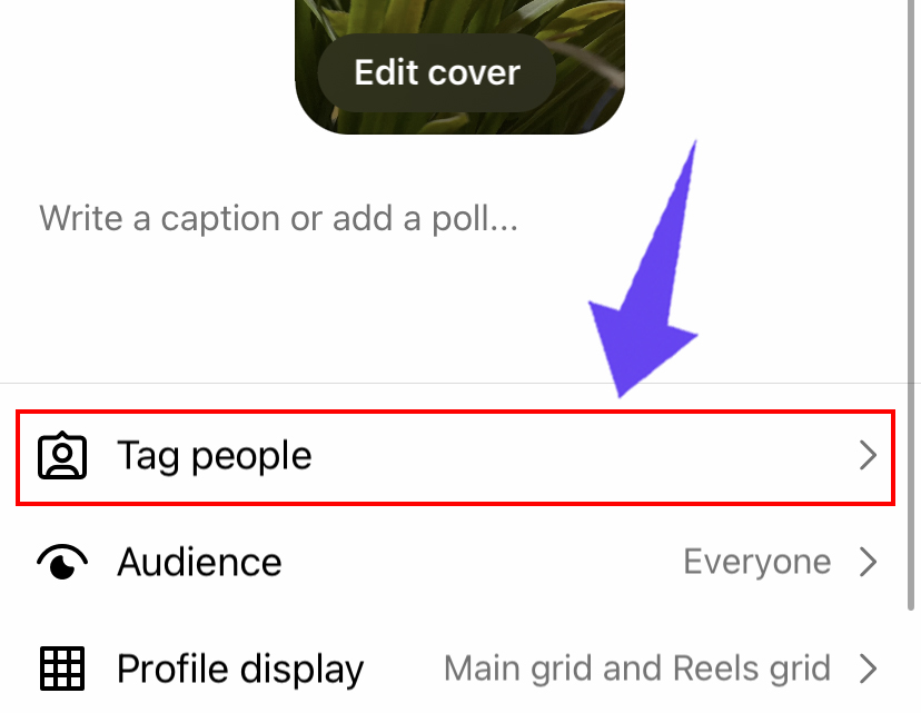 How to Cross Promote on Social Media? (4 Strategies) - Viralyft